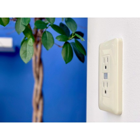 PV-SK10 Spy Plug with Full HD Hidden Camera | WE SPY®